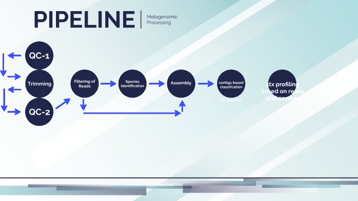 Metagenomics Pipeline by Ella Rodwell on Prezi