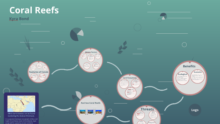 Coral Reefs by Kyra Bond on Prezi