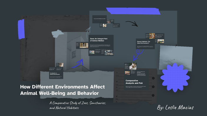 How Different Environments Affect Animal Well-Being and Behavior by ...