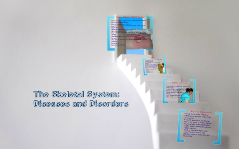 Anatomy Presentation by Amy Hatchett on Prezi