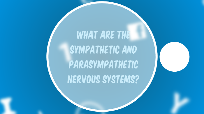 Sympathetic and parasypathetic nervous system by Mia Barnes on Prezi