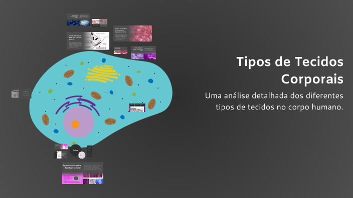 Tipos de Tecidos Corporais by Salvador Jonatão on Prezi