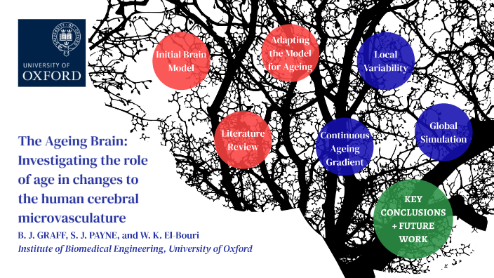 BGRAFF VPH 2020 Presenatation by Barnaby Graff on Prezi