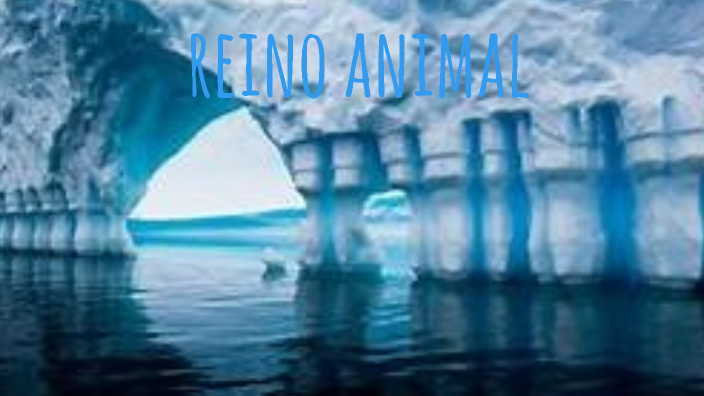 reino animal by BRANDY FERNANDEZ RAMOS on Prezi