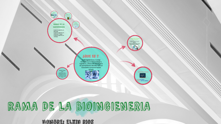 RAMA DE LA BIOINGENERIA by Elkin Jonathan Rios bohorquez on Prezi