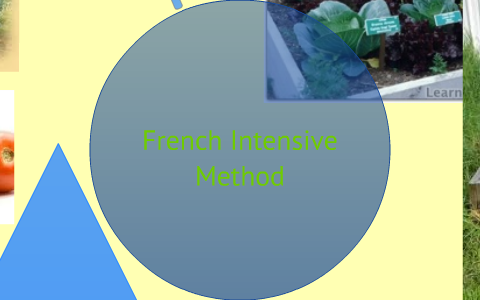 French Intensive Method by Andrea Wilkins