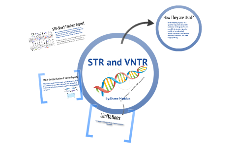 STR and VNTR by Shane Maddux on Prezi