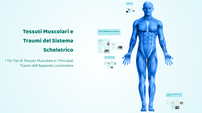 Tessuti Muscolari e Traumi del Sistema Scheletrico by Letizia Di Millo ...