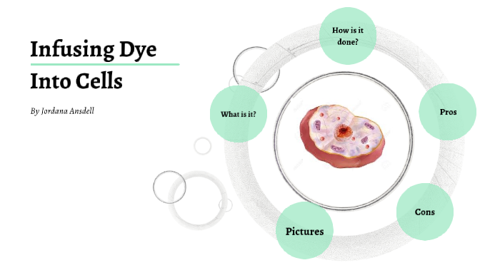 Infusing dye into cells by Jordana Ansdell on Prezi
