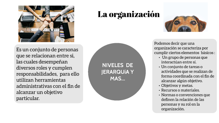 La organizacion y El Gerente by Merlyn Chavez on Prezi