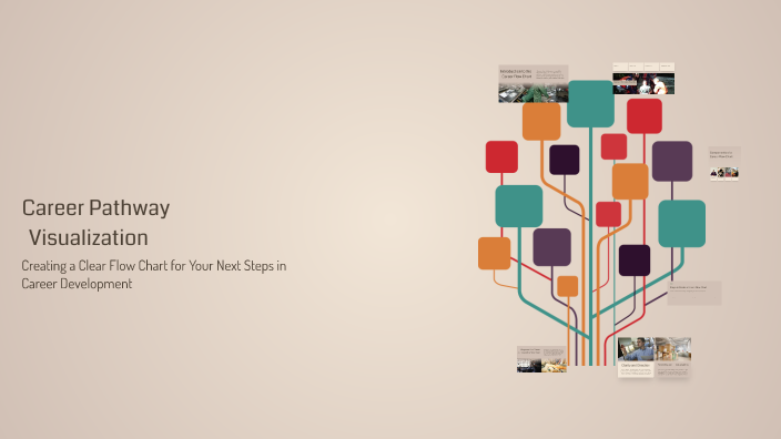 Career Pathway Visualization by Madeleine Ngo on Prezi