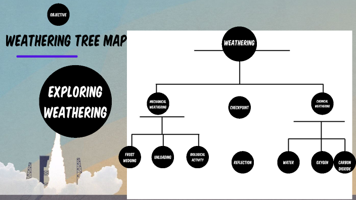 Weathering Tree Map by Isaiah Gorham on Prezi