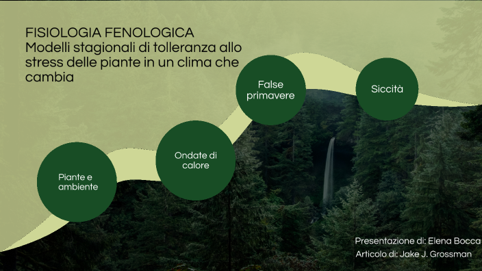 fisiologia fenologica by elena bocca on Prezi