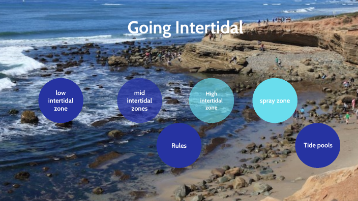 Going into the Rocker Intertidal ecosystem by Logan D. Urquhart on Prezi