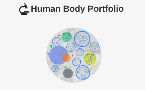 Human Body Portfolio by Catherine McNeel on Prezi