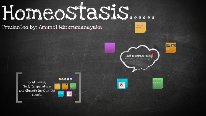 Homeostasis (IGCSE Biology) by Amandi Wickramanayake on Prezi