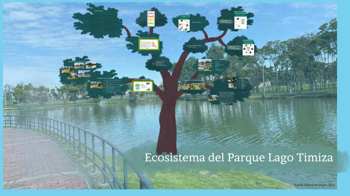 ECOSISTEMA PARQUE LAGO TIMIZA by Lizeth Conde on Prezi