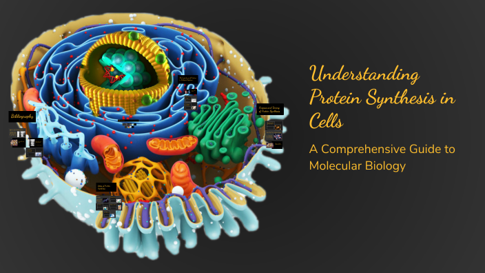 Understanding Protein Synthesis in Cells by Orhan boke on Prezi