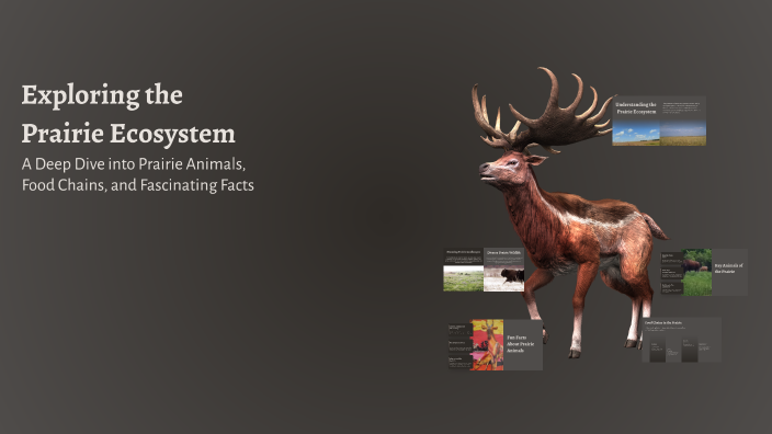 Exploring the Prairie Ecosystem by ANASOPHIA CARRANZA on Prezi