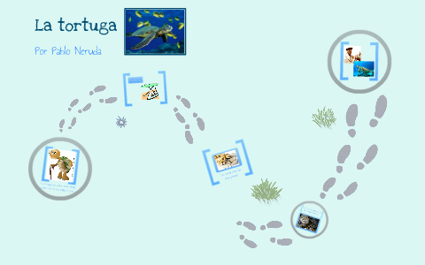 La tortuga - Pablo Neruda by Lena Law on Prezi