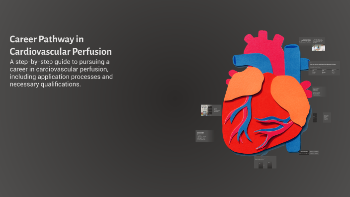 Career Pathway in Cardiovascular Perfusion by krisha patel on Prezi