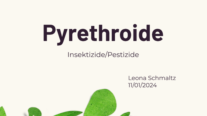 Pyrethroide by Leona Schmaltz on Prezi