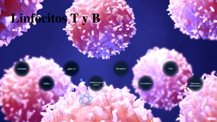 Linfocitos T y B by Pedro David Amilcar Villar Mellado on Prezi