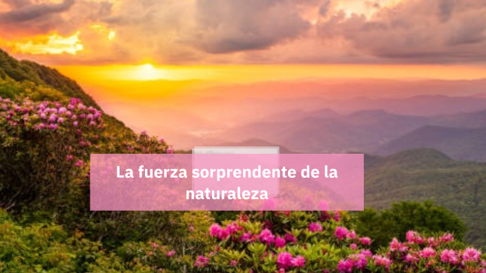 Maria Victoria Lopez by U.E. Vicente Campo Elías on Prezi