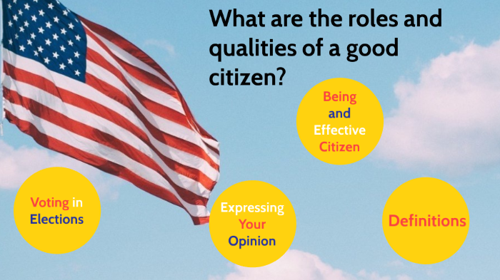 What are the roles and qualities of a good citizen? by Rafaela Natenzon ...