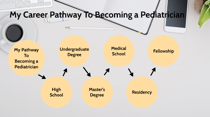My Career Pathway by chelsea laughlin on Prezi