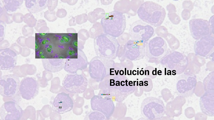 Evolución de las Bacterias by Melanie Nicole Marcillo Castro on Prezi