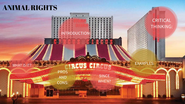 ANIMAL RIGHTS-CIRCUS by SIENA RINCÓN CARO on Prezi