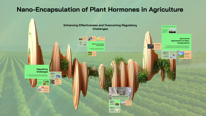 Nano-Encapsulation of Plant Hormones in Agriculture by Insight Bridge ...