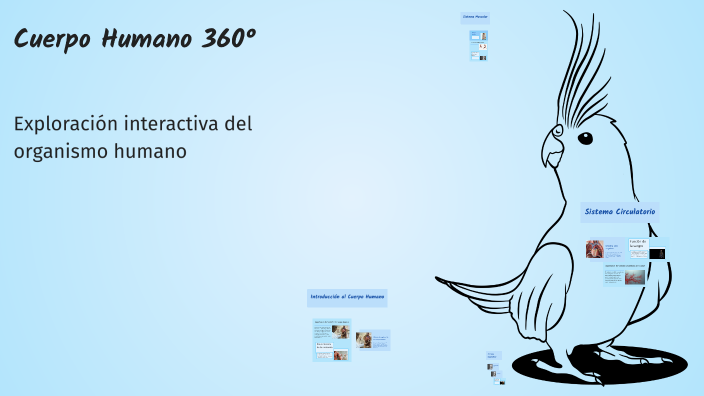 Cuerpo Humano 360° by Militza Torres on Prezi