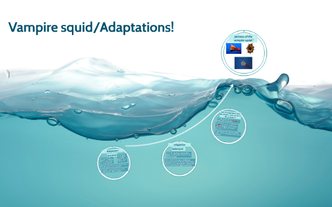 Vampire squid/Adaptations! by cristy foster on Prezi