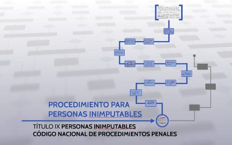 PROCEDIMIENTO PARA PERSONAS INIMPUTABLES by DIEGO LANDA on Prezi