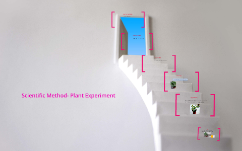Scientific Method- Plant experiment by Swati Subramaniam on Prezi