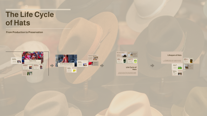 The Life Cycle of Hats by David Romero on Prezi