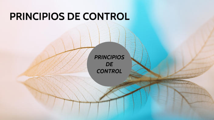 PRINCIPIOS DE CONTROL by Gârçîä V Lêšlÿ on Prezi