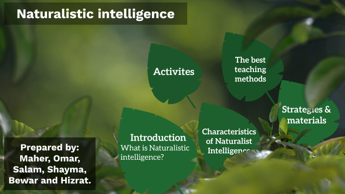Naturalistic intelligence by Omar Ahmed on Prezi