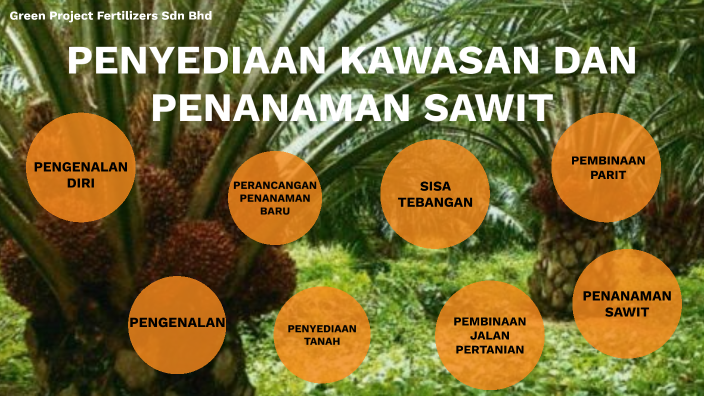 PENYEDIAAN KAWASAN DAN PENANAMAN SAWIT by rusahnisa nasaruddin on Prezi