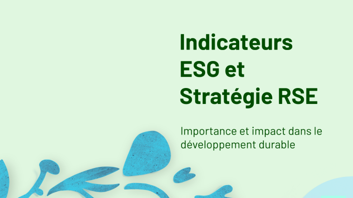 Indicateurs ESG et Stratégie RSE by BIDI Georges on Prezi
