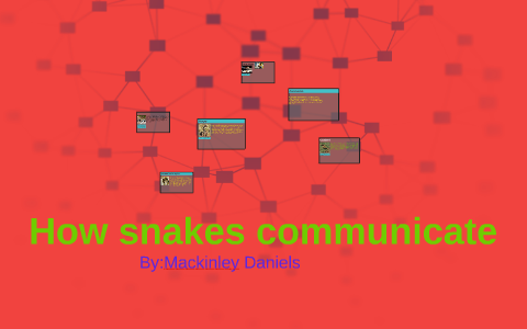 How snakes communicate by mackinley daniels on Prezi