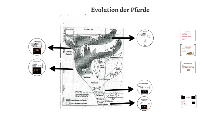 Evolution der Pferde by Angelique Peterson on Prezi
