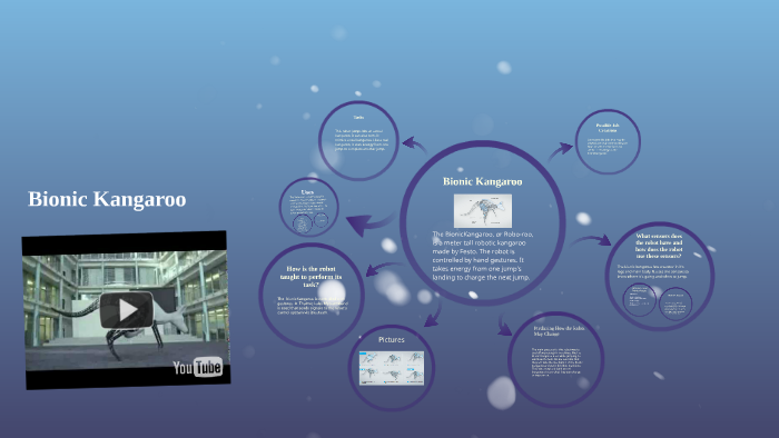 Bionic Kangaroo by Anna Wedemeyer on Prezi