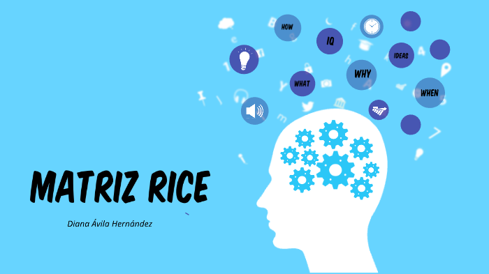 MATRIZ RICE by Diana Ávila on Prezi