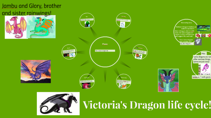 Victoria's Dragon life cycle by Engrid Hermann on Prezi