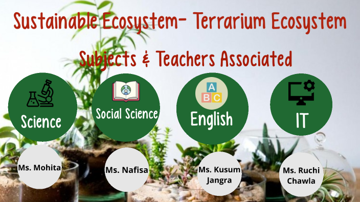 Final Level PPT by ruchi chawla on Prezi