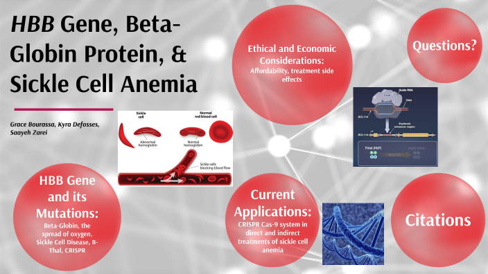 HBB Gene Presentation by Grace Bourassa on Prezi