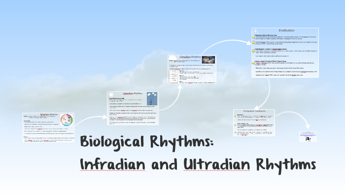 OLD - Biological Rhythms: Infradian & Ultradian Rhythms by Lucy Tickle ...